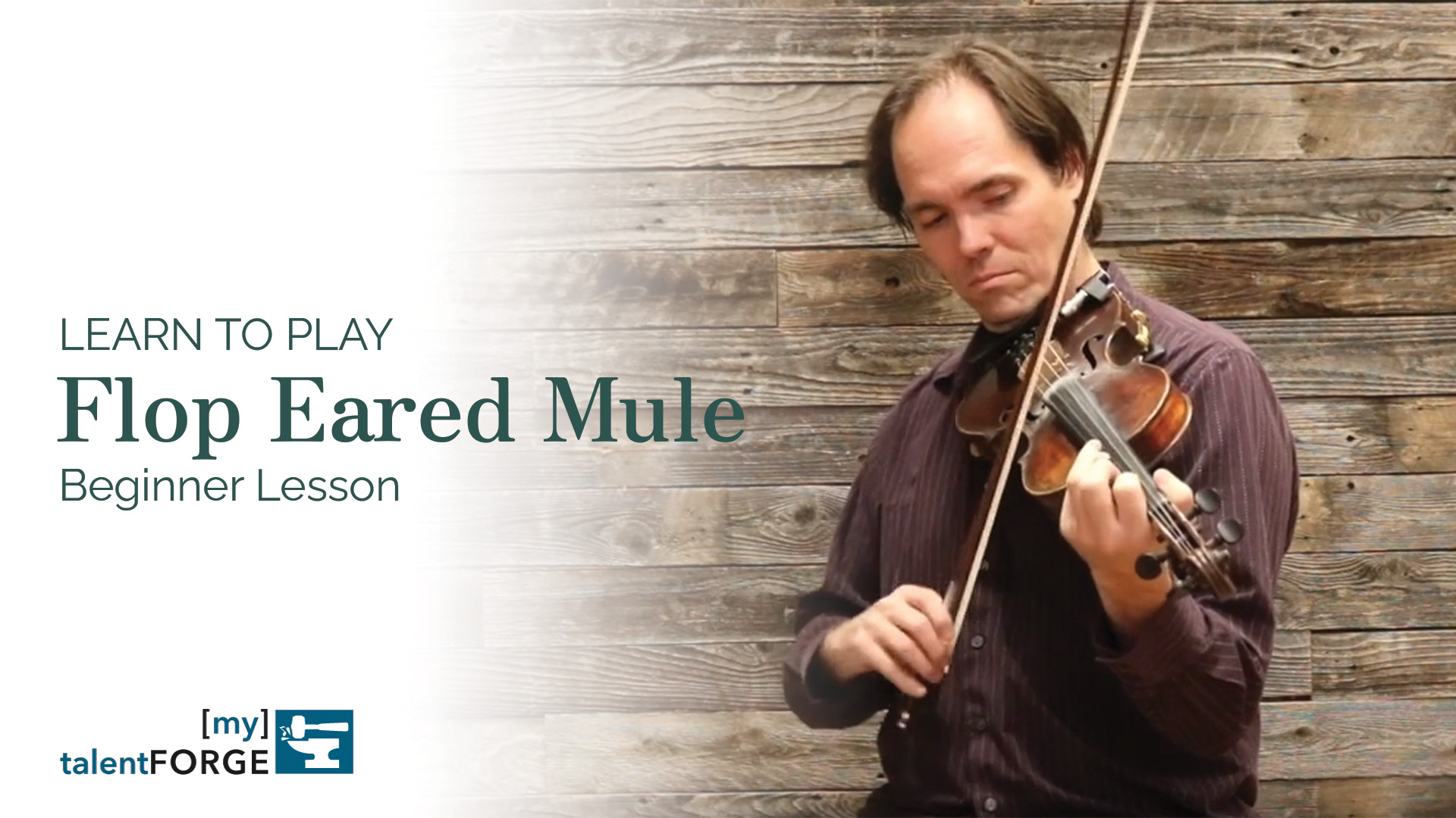 Flop Eared Mule - [my] Talent Forge - Expert Fiddle Lessons