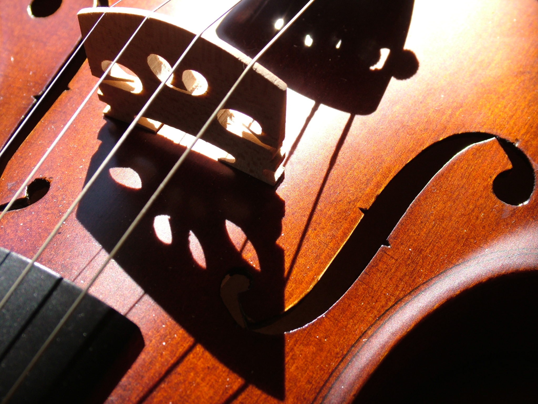 What Kind of Bridge Do You Use? - [my] Talent Forge - Expert Fiddle Lessons